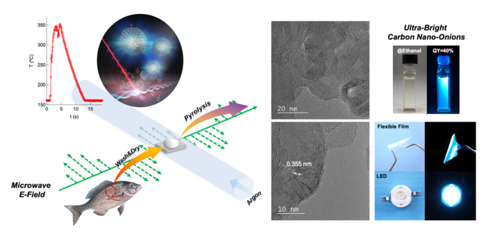 Converting fish scales into hi [IMAGE] | EurekAlert! Science News Releases