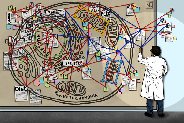 Biological network in cells helps body adapt | EurekAlert!
