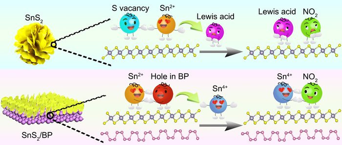 Suppression of Sn2+ and Lewis acidity in SnS2 | EurekAlert!