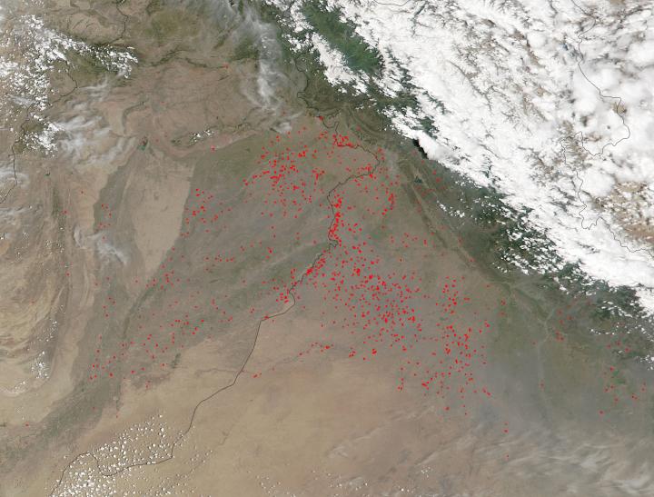 Fires in India Light Up the Landscape | EurekAlert!