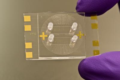 New TB Test [IMAGE] | EurekAlert! Science News Releases