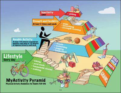 MyActivity Pyramid [IMAGE] | EurekAlert! Science News Releases
