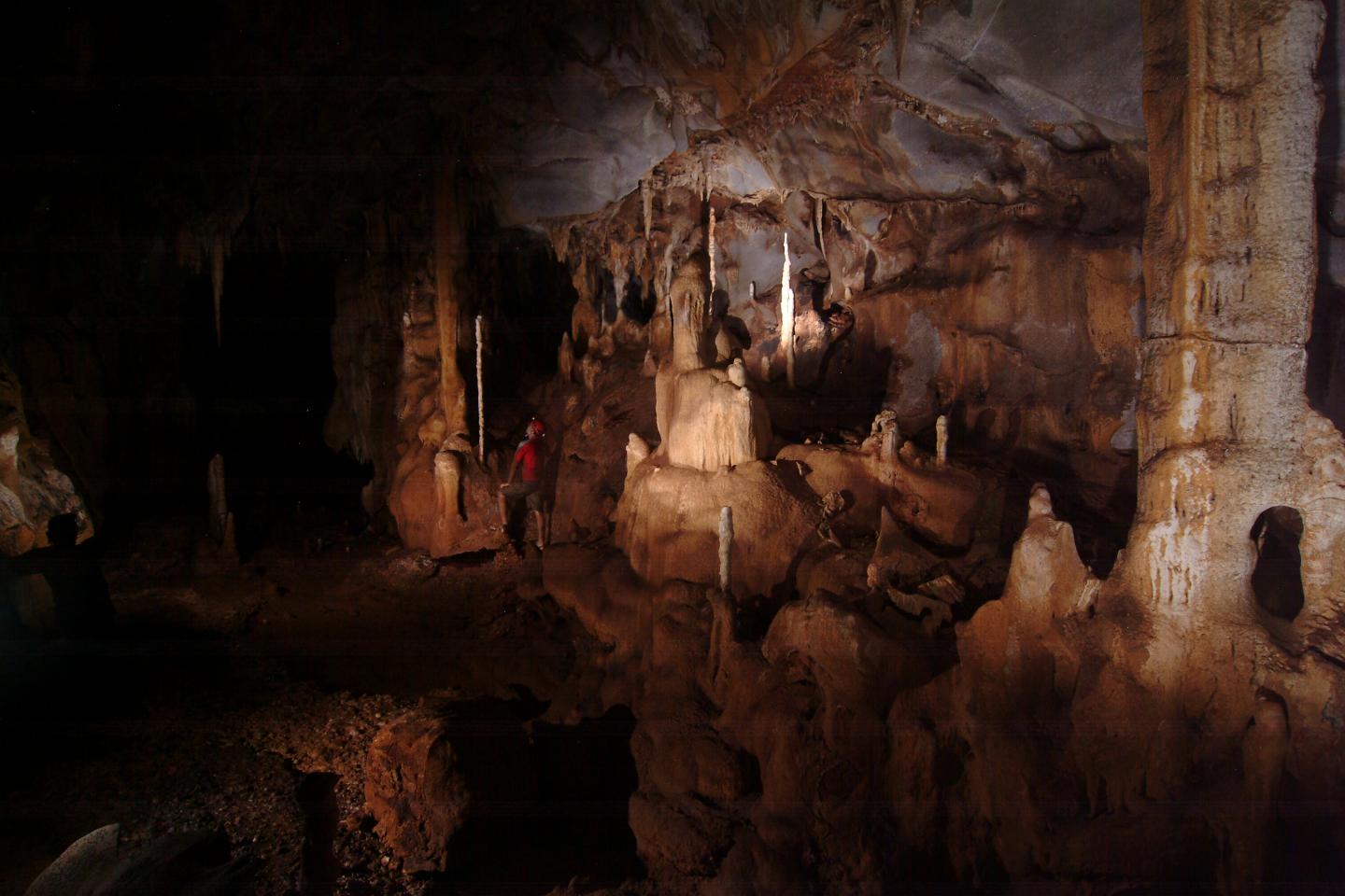Cave Room [IMAGE] | EurekAlert! Science News Releases