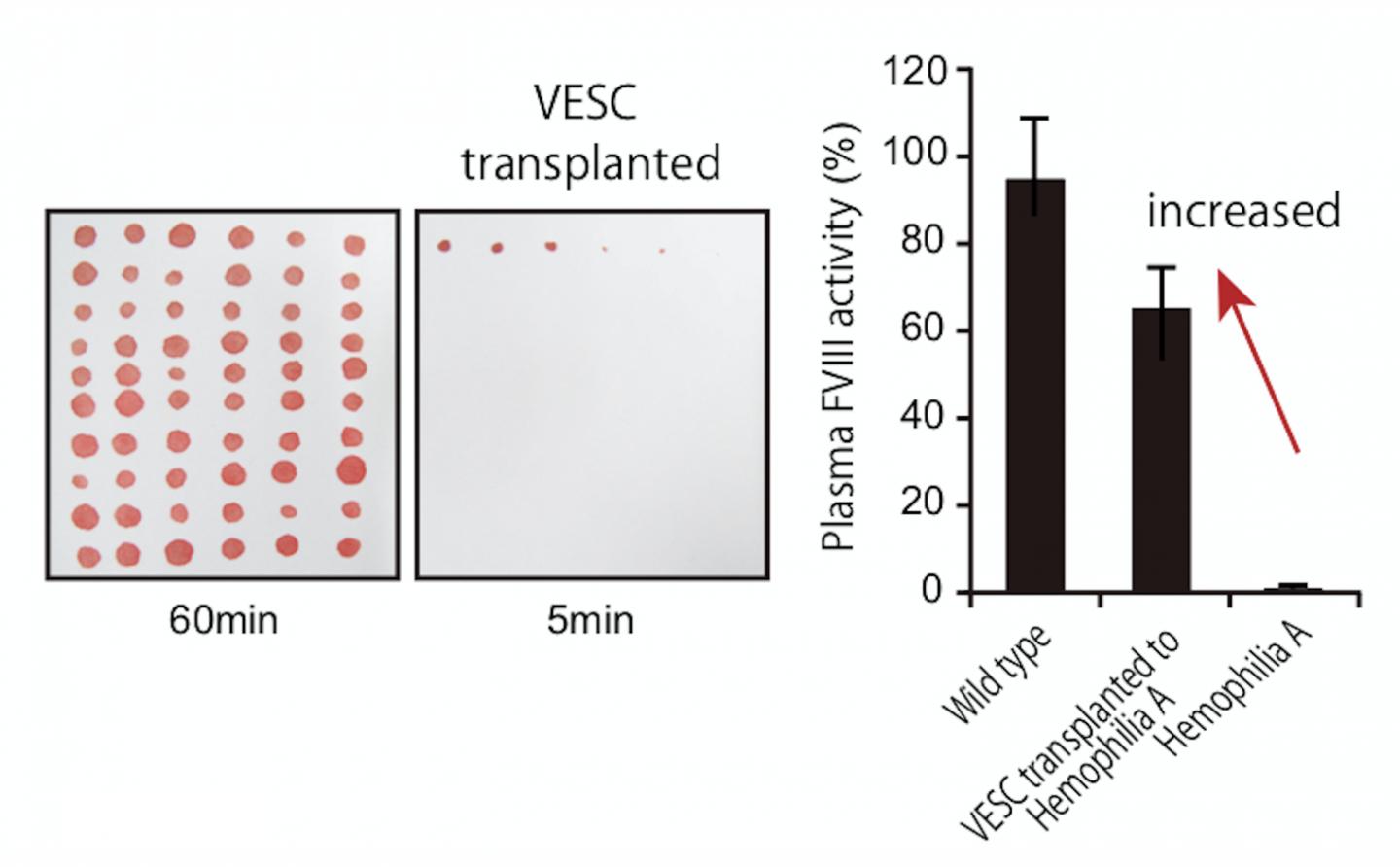Fig. 2 [IMAGE] | EurekAlert! Science News Releases