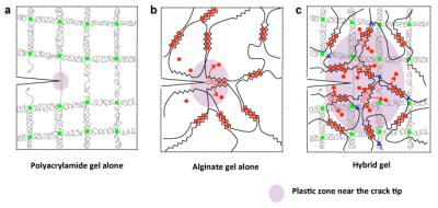 Diagram of Molecular Structure [IMAGE] | EurekAlert! Science News Releases