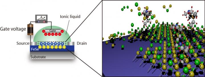 Schematic of Electric-Double-L [IMAGE] | EurekAlert! Science News Releases