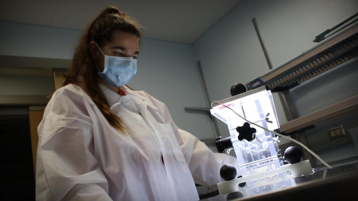 Behavioral Research [IMAGE] | EurekAlert! Science News Releases