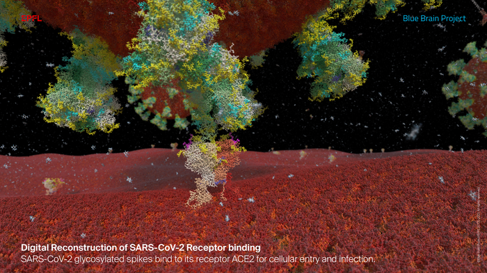 Digital reconstruction of SARS [IMAGE] | EurekAlert! Science News Releases