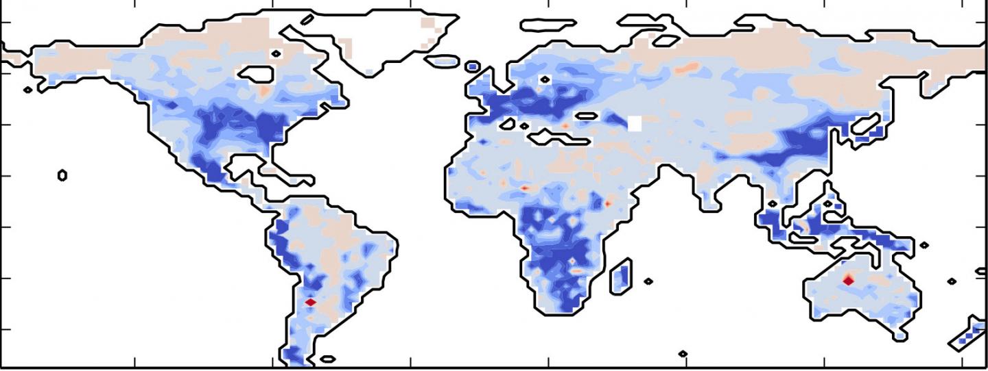 Rhizosphere Effects [IMAGE] | EurekAlert! Science News Releases