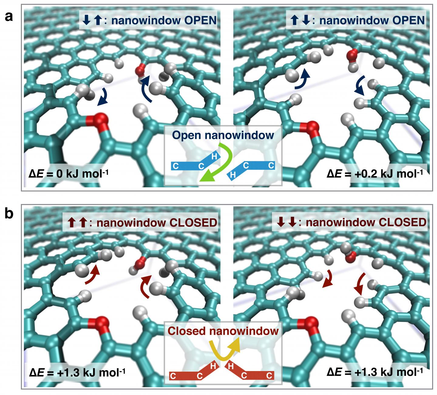 O2 Permeation [IMAGE] | EurekAlert! Science News Releases