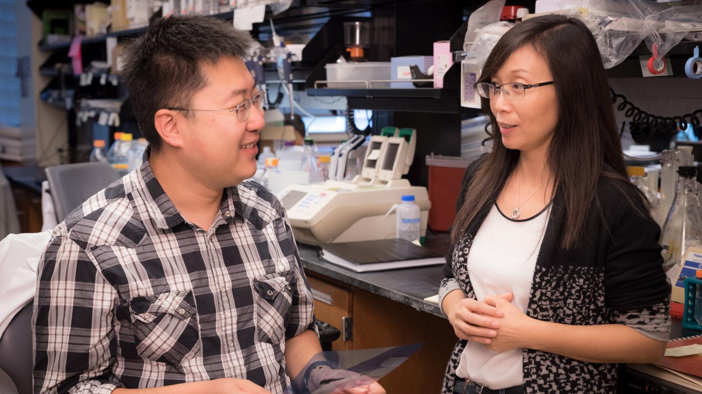 Gladstone Scientists Li Gan an [IMAGE] | EurekAlert! Science News Releases