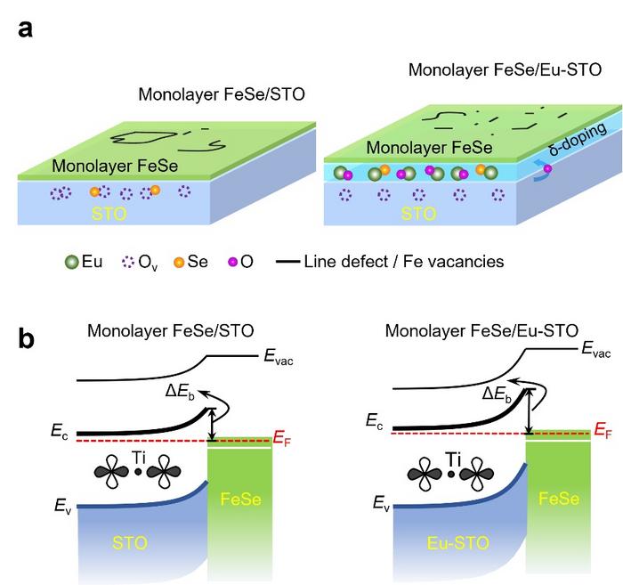 Enhanced superconductivity in [IMAGE] | EurekAlert! Science News Releases