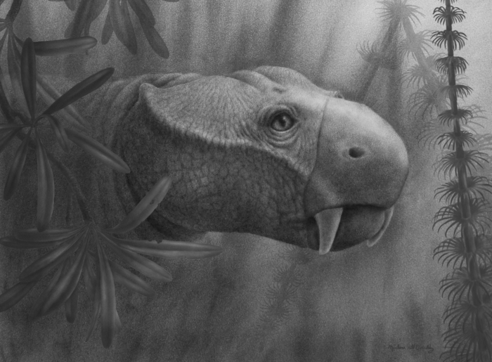 Dicynodont illustration [IMAGE] | EurekAlert! Science News Releases