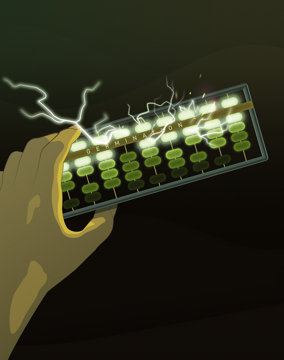 Abacus of spores [IMAGE] | EurekAlert! Science News Releases