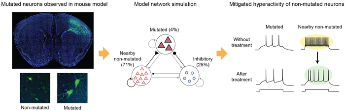 Image [IMAGE] | EurekAlert! Science News Releases