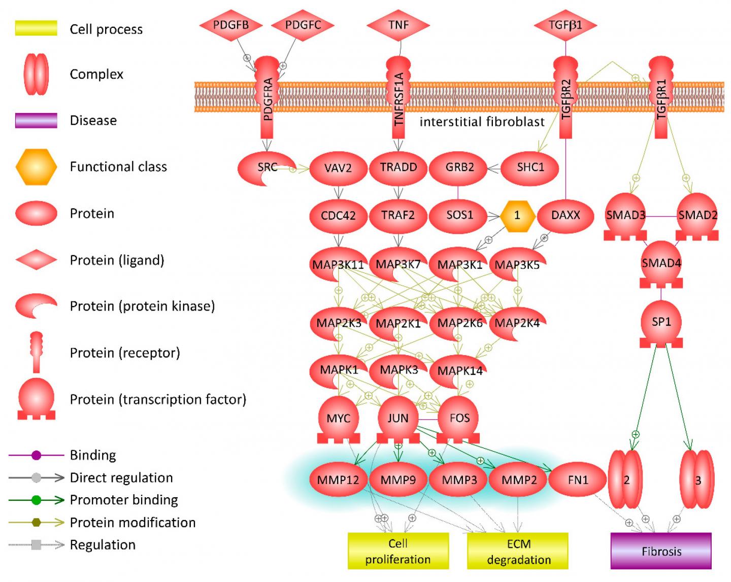 Pathway [IMAGE] | EurekAlert! Science News Releases