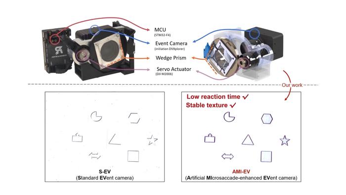 Artificial Microsaccade-enhanc [IMAGE] | EurekAlert! Science News Releases