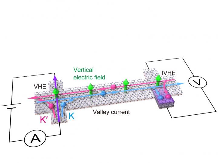 Schematic of the Device Used t [IMAGE] | EurekAlert! Science News Releases