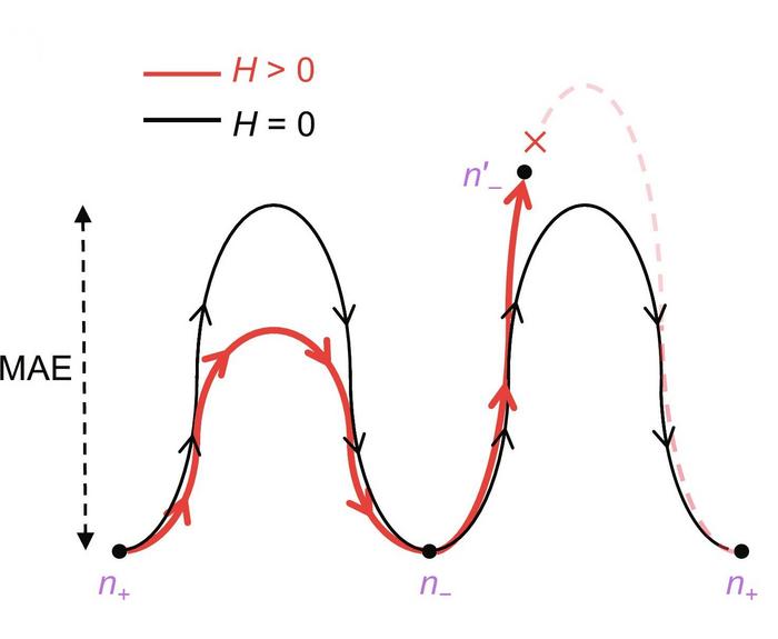 Figure 1 (a) [IMAGE] | EurekAlert! Science News Releases