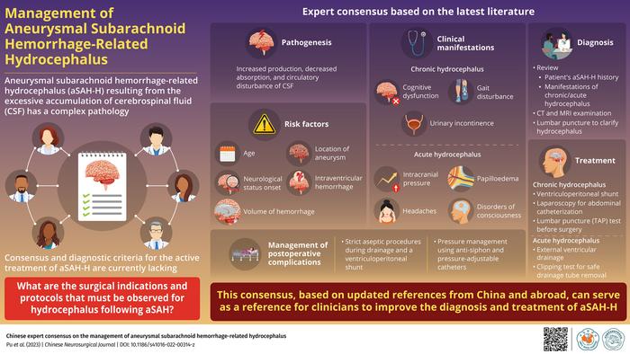 Management of aneurysmal subar [IMAGE] | EurekAlert! Science News Releases