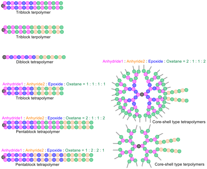 A wide variety of synthetic po [IMAGE] | EurekAlert! Science News Releases