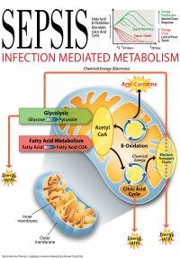 New Blood Test Predicts Death in Sepsis Patie | EurekAlert!