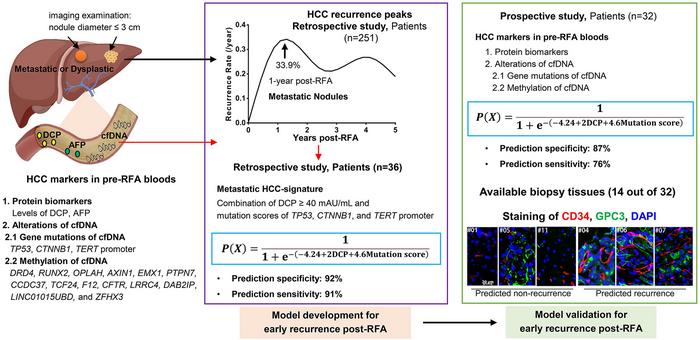 A Blood Hepatocellular Carcino [IMAGE] | EurekAlert! Science News Releases
