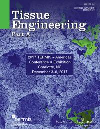 Researchers create unique bioengineered organ | EurekAlert!