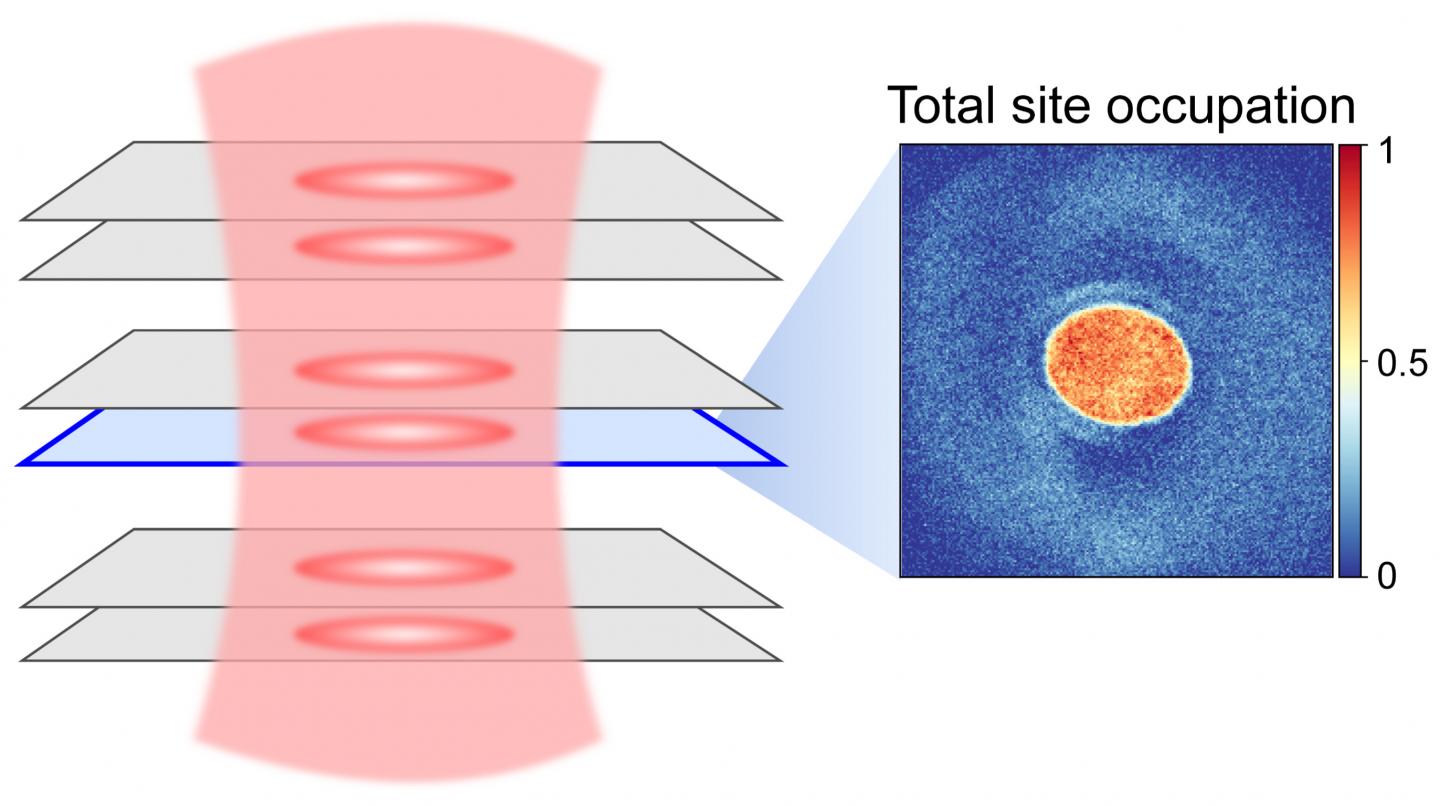 Bilayer system [IMAGE] | EurekAlert! Science News Releases