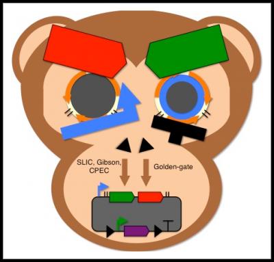 j5 Logo [IMAGE] | EurekAlert! Science News Releases