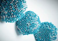 Science snapshots: A toxin antidote in frogs, | EurekAlert!