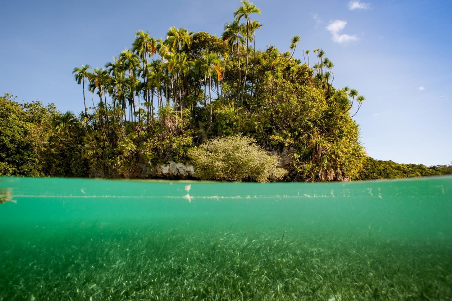 Palau [IMAGE] | EurekAlert! Science News Releases