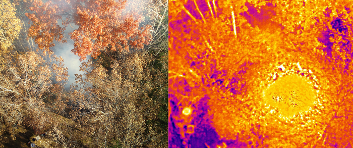 Fire detected by thermal imagi [IMAGE] | EurekAlert! Science News Releases
