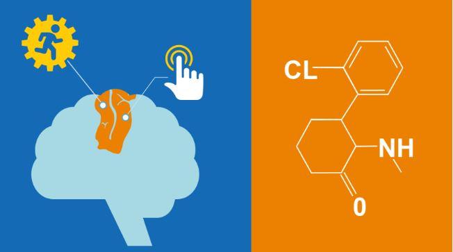 Ketamine in the Brain [IMAGE] | EurekAlert! Science News Releases