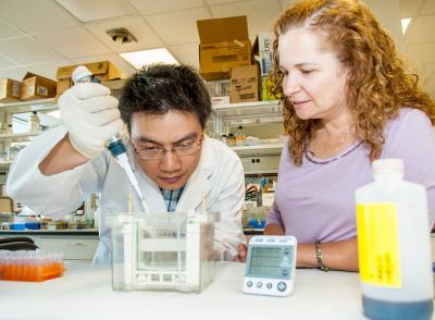 Jian Chen and Kathleen Gallo, [IMAGE] | EurekAlert! Science News Releases