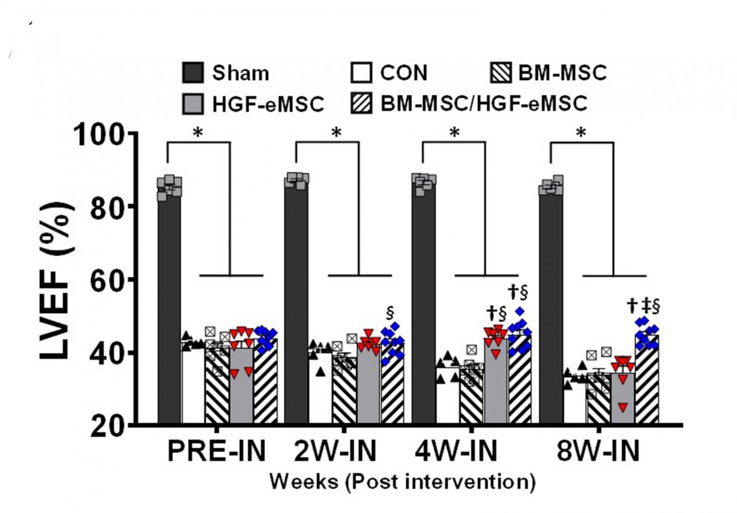 Comparison of Heart Functions [IMAGE] | EurekAlert! Science News Releases