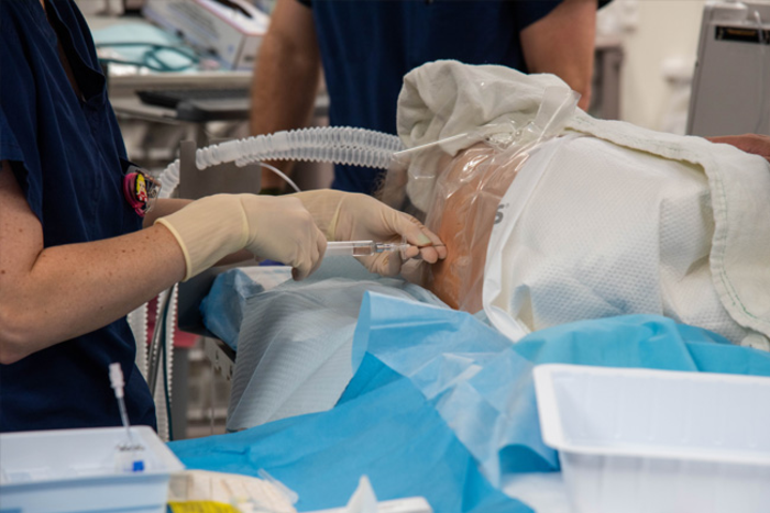 Epidural [IMAGE] | EurekAlert! Science News Releases