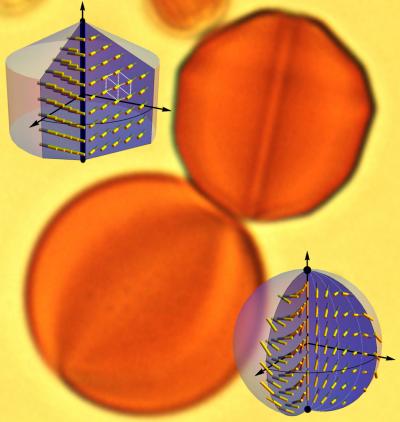 Liquid crystal turns water droplets into 'gem | EurekAlert!