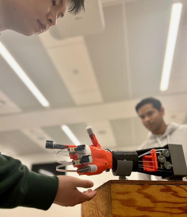 Sensor skin enabling tasks tha [IMAGE] | EurekAlert! Science News Releases