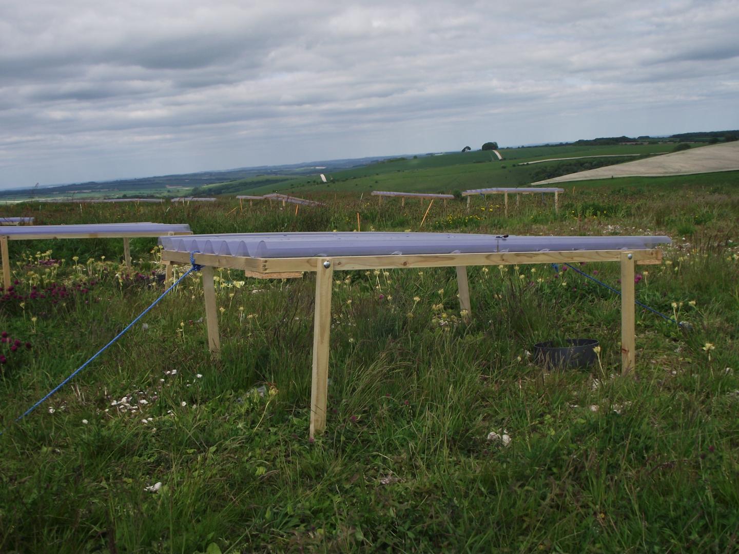 Drought Experiment [IMAGE] | EurekAlert! Science News Releases