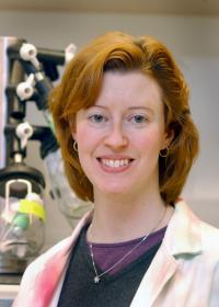 Yale scientist honored for academic innovatio | EurekAlert!