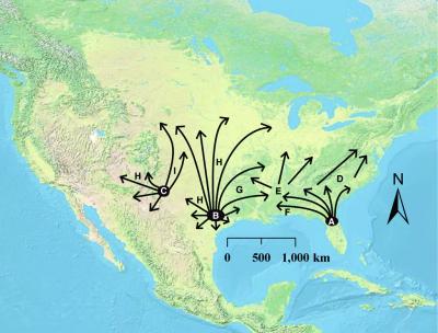 Origin Map [IMAGE] | EurekAlert! Science News Releases