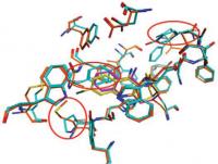 New chromenone derivatives as cholinesterase | EurekAlert!