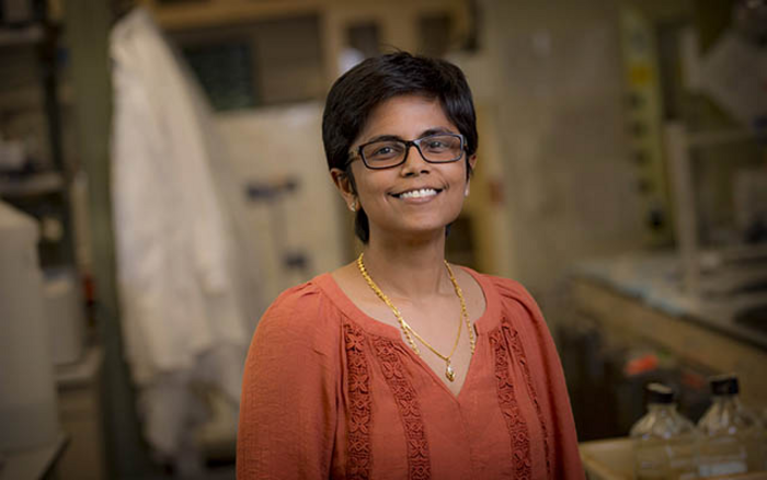 Pradipta Ghosh, University of [IMAGE] | EurekAlert! Science News Releases