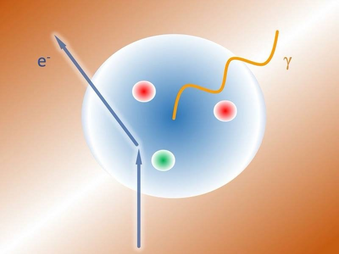 Decoding the proton’s response to an external | EurekAlert!