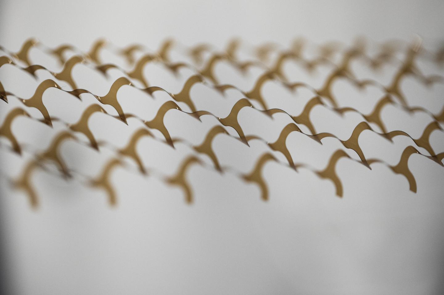 Soft Implants for Deafness Better Interface w | EurekAlert!