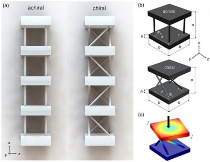 Figure 1 [IMAGE] | EurekAlert! Science News Releases