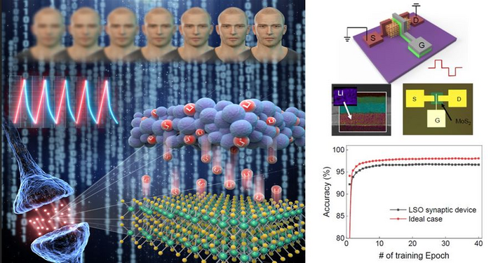 The world's highest level of handwriting patt | EurekAlert!