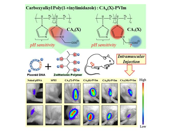 New zwitterionic polymer for d [IMAGE] | EurekAlert! Science News Releases