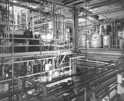 Pfizer's Work on Penicillin fo [IMAGE] | EurekAlert! Science News Releases